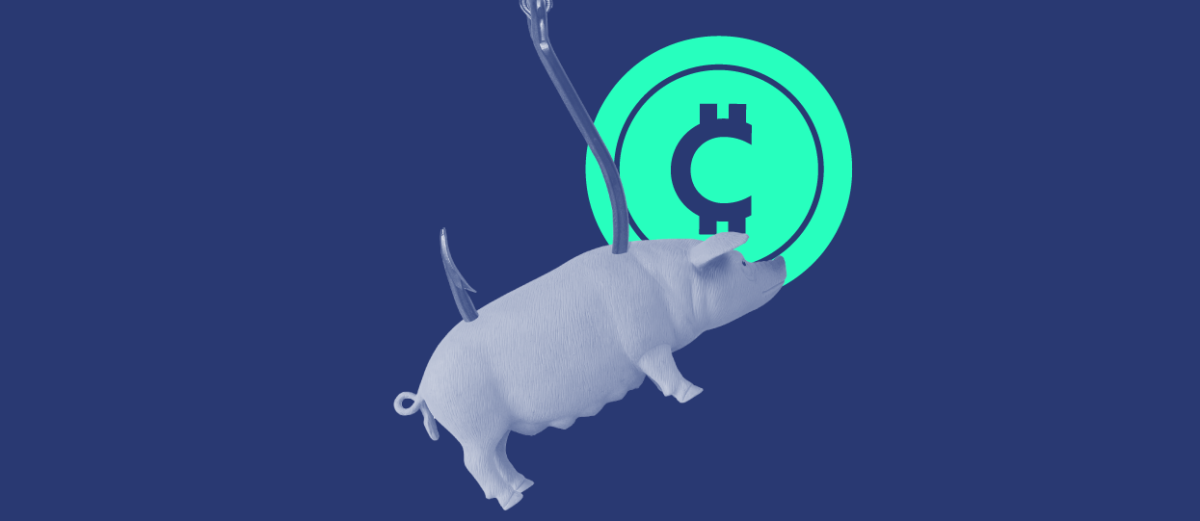 Investigating Pig Butchering and Crypto Scams: Ep 72